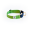 Martingale Collar: Greenery & Navy