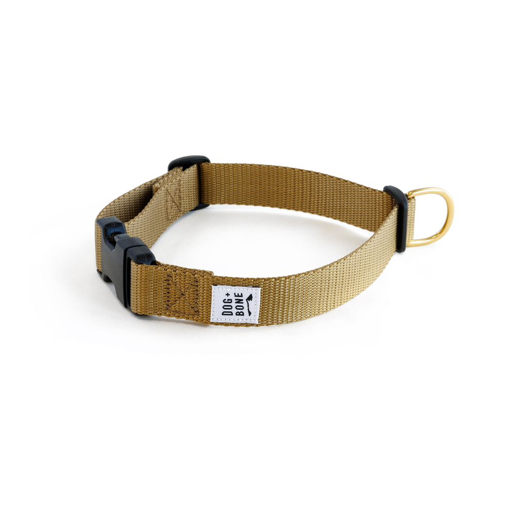 Snap Collar: Gold