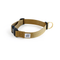 Snap Collar: Gold