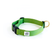 Snap Collar: Greenery