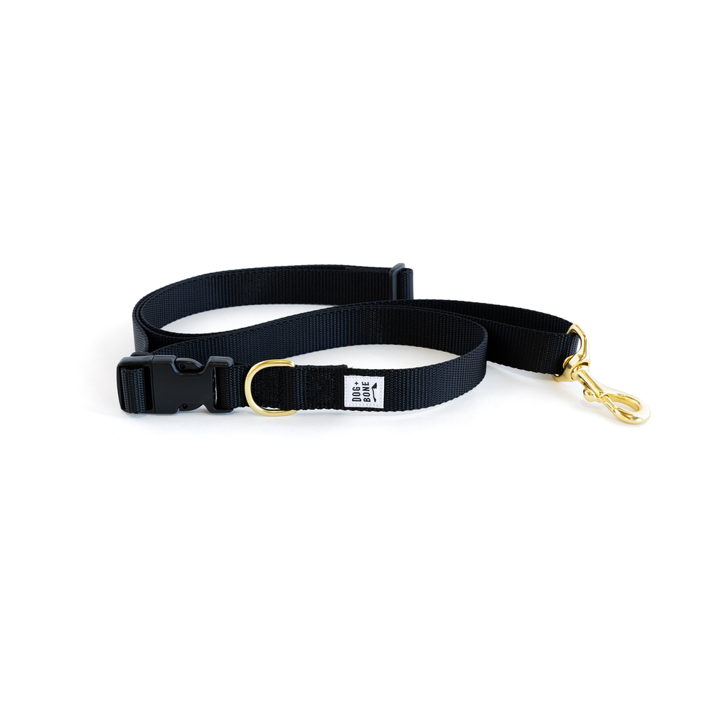 Adjustable Leash: Black – Dog + Bone